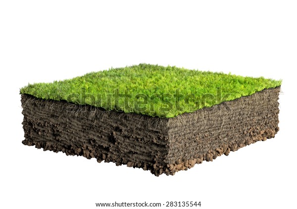 Grass Soil Profile Stock Illustration 283135544