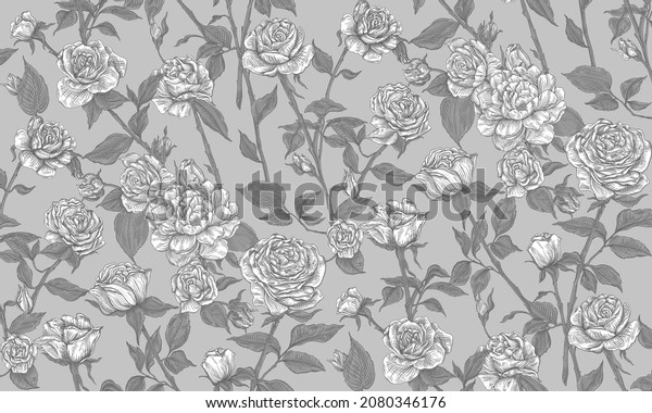 Gray Background Grayscale Drawing Roses On Stock Illustration ...