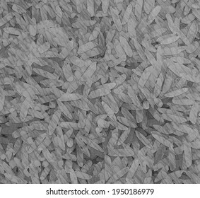 Grayscale Drawing Texture Created Raw Rice Stock Illustration ...