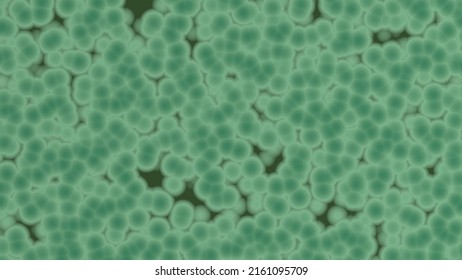 Green Bacteria View Bacteria Under Microscope Stock Illustration ...
