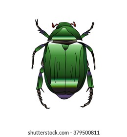 Green Fly Insect Image Fly Top Stock Vector (Royalty Free) 2120397470