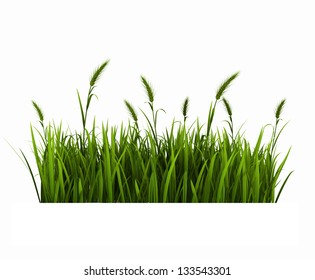 Green Grass Stock Illustration 133543301 | Shutterstock