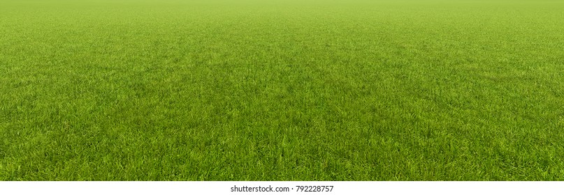77 Cricket ground texture Stock Illustrations, Images & Vectors ...