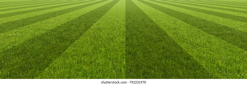 77 Cricket ground texture Stock Illustrations, Images & Vectors ...