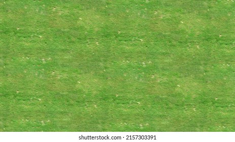 Green Grass Texture Background Top View Stock Illustration 2157303391 ...