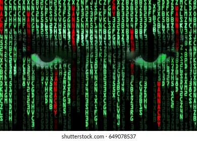 7,459 Hacker Eye Images, Stock Photos & Vectors | Shutterstock