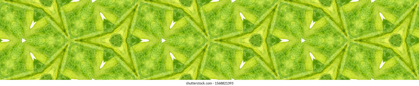 Green Spring Seamless Border Scroll Geometric Stock Illustration ...
