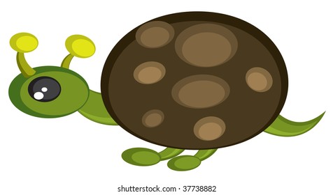 Green Tortoise Stock Illustration 37738882 | Shutterstock