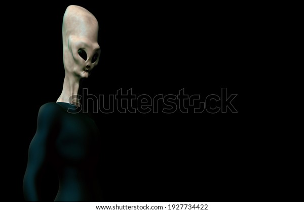 28,842 Alien Grey Images, Stock Photos & Vectors | Shutterstock