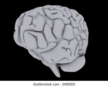 3d Illustration Human Brain On Clean: ilustrações stock 1602833647 ...