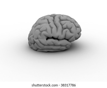 Human Brain Geometry Cell On White 库存插图 509327926 | Shutterstock
