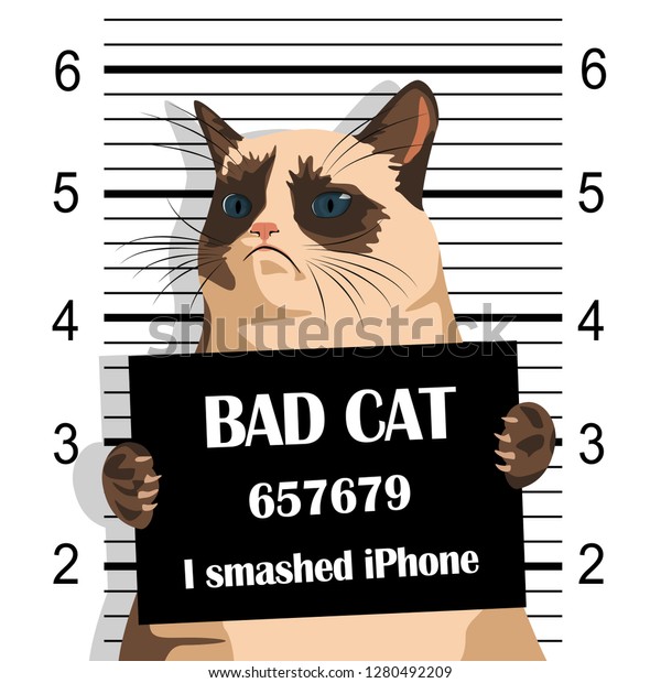 Grumpy Cat Holds His Paws Sign Stock Illustration 1280492209 | Shutterstock