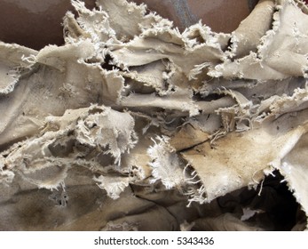 19,980 Torn cloth Stock Illustrations, Images & Vectors | Shutterstock