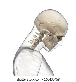 3,912 Bended neck Images, Stock Photos & Vectors | Shutterstock