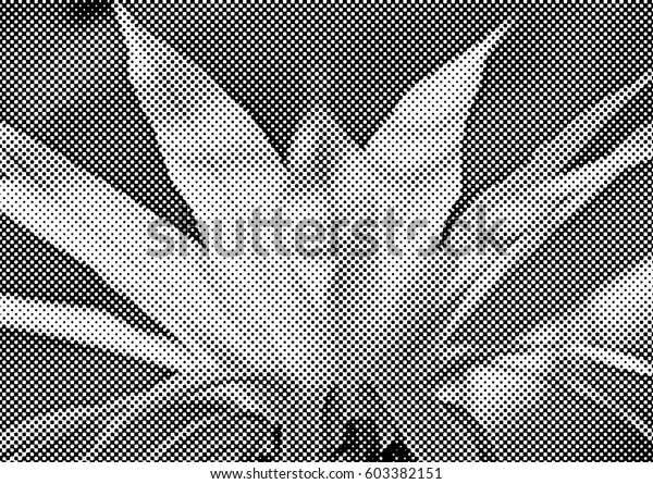 Halftone Closeup Flower Stock Illustration 603382151
