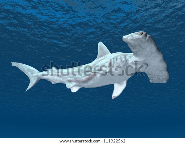 Hammerhead Computer Generated 3d Illustration Stock Illustration ...