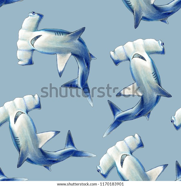Hammerhead Shark Seamless Pattern On Light Stock Illustration 1170183901