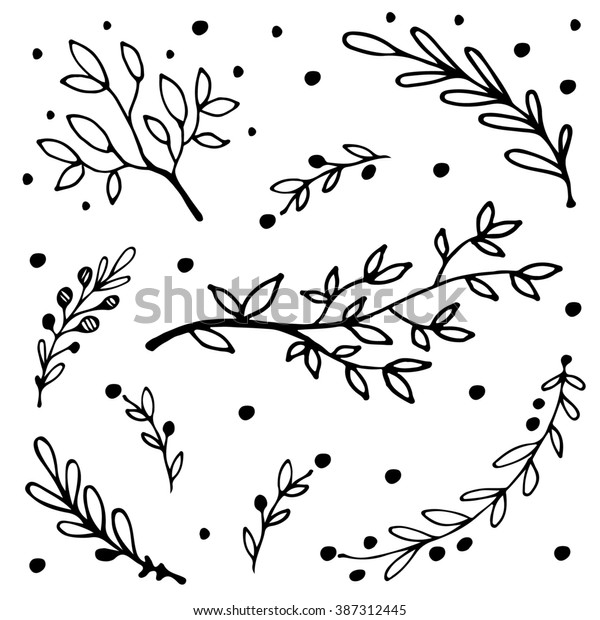 Hand Drawn Branches Set Stock Illustration 387312445