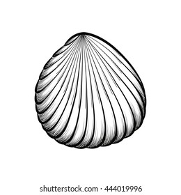 Hand Drawn Pattern Black White Shell Stock Illustration 444019996 ...
