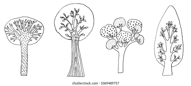 Coloring Page Pine Tree Life Cycle Stock Vector (Royalty Free ...