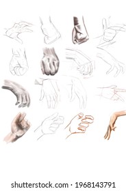 7,360 Hands Reference Images, Stock Photos & Vectors | Shutterstock