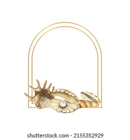 Handdrawn Gold Frame Shells Beach Illustration Stock Illustration ...