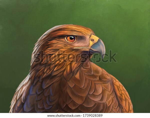 Harris Hawk Portrait Dramatic Lighting Digital Stock Illustration ...