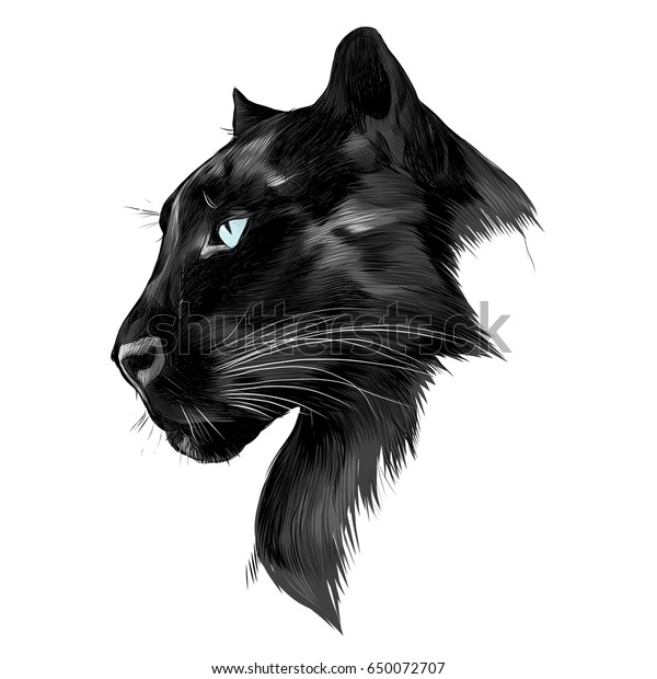 Head Black Panthers Profile Looking Into : illustration de stock ...
