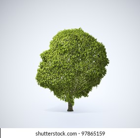 Head Shaped Tree Stock Illustration 97865159 | Shutterstock