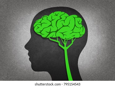 Brain Tree Concept Tree Growing Shape Stock Illustration 2212346773 ...