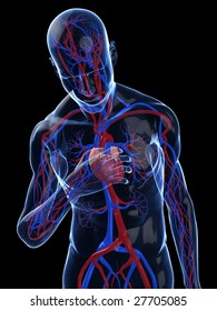 Human Lymph Nodes Anatomy Medical Concept Stock Illustration 1753149020 ...