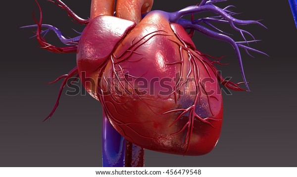 Heart Attack 3d Illustration Stock Illustration 456479548
