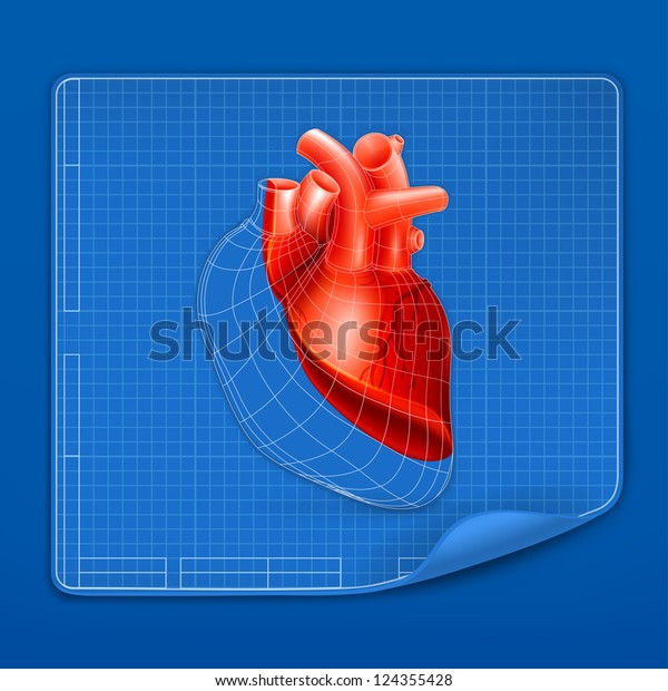 Heart Structure Blueprint Bitmap Copy Stock Illustration 124355428 ...