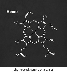 Heme Molecule Structural Chemical Formula White Stock Illustration ...
