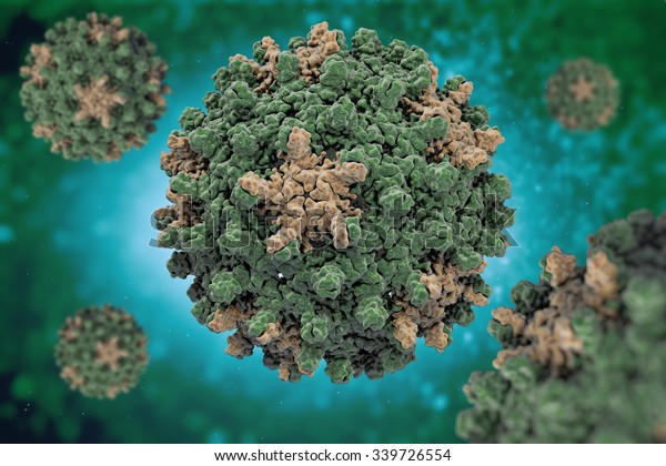 Hepatitis B Virus Structure Hepatitis B Stock Illustration 339726554