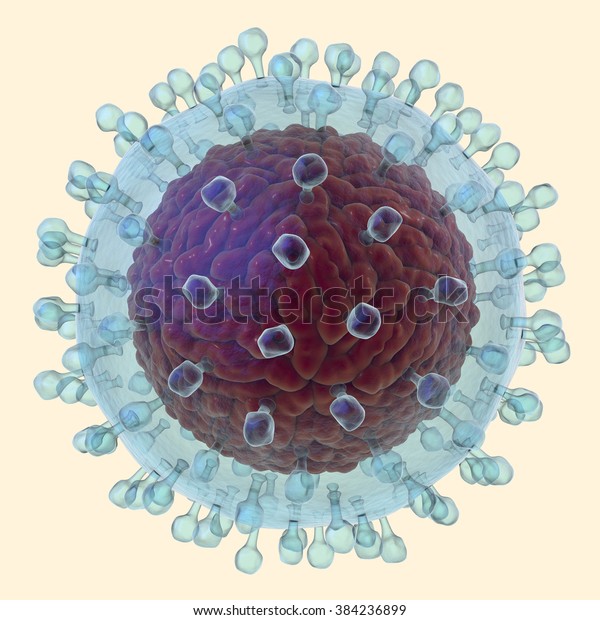 Hepatitis C Virus Model Virus Consists Stock Illustration 384236899 ...