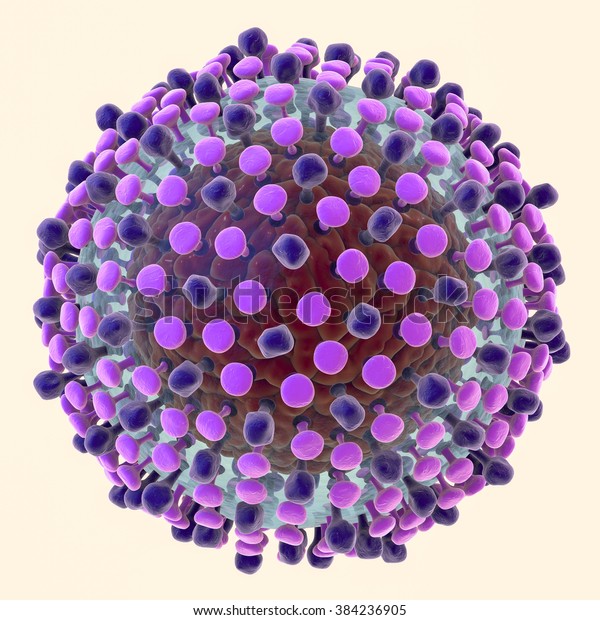 Hepatitis C Virus Model Virus Consists Stock Illustration 384236905