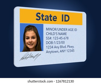 Here Generic Mock State Identification Card Stock Illustration 1267812124