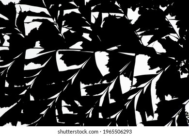 High Contrast Leaf Pattern Fishtail Palm Stock Illustration 1965506293 ...