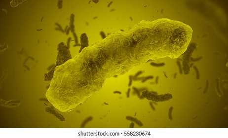 High Quality 3d Render Bacillus Virus Stock Illustration 558230674 ...