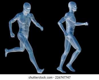 27,073 3d human body transparent Images, Stock Photos & Vectors ...