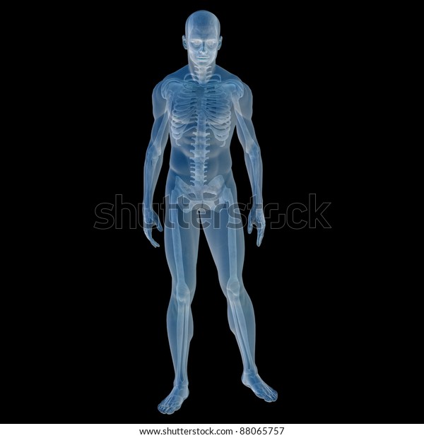 High Resolution Conceptual 3d Human Ideal Stock Illustration 88065757