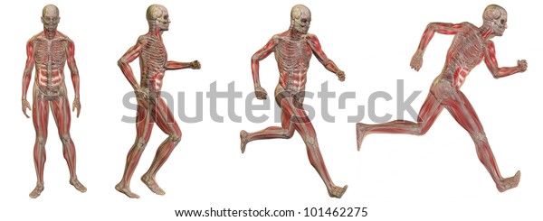 High Resolution Conceptual Man Anatomy Illustration Stock Illustration ...