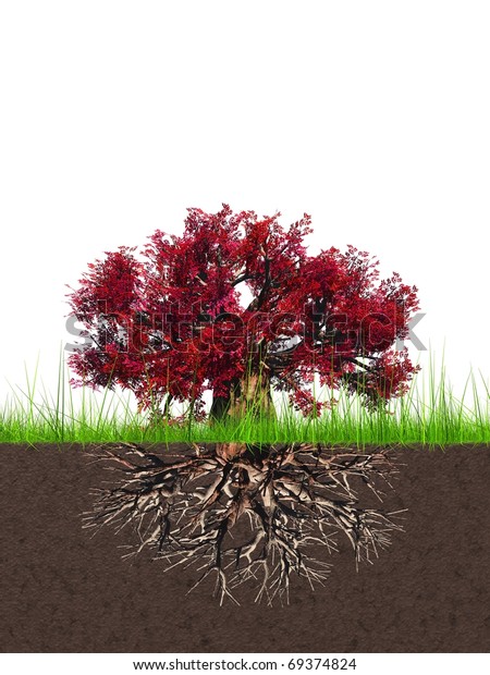 High Resolution Conceptual Tree Deep Roots Stock Illustration 69374824 ...