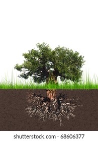 Ilustrasi Stok High Resolution Conceptual Tree Isolated 68606377 ...