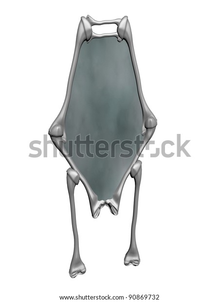 High Resolution Mirrors Make You Own Stock Illustration 90869732 ...