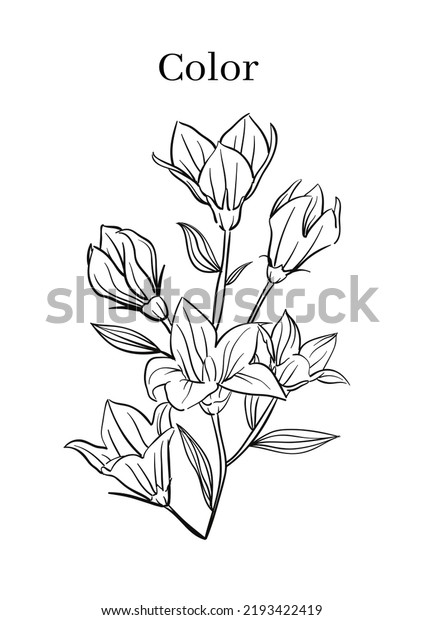 High Resolution Printable Colouring Worksheets Kindergarten: ภาพประกอบ ...