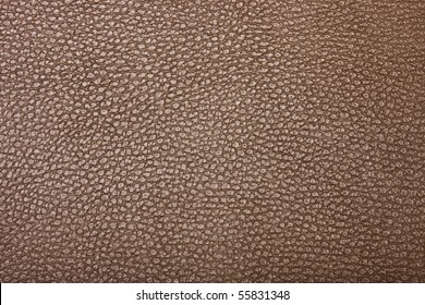 High Resolution Texture Background Skin Stock Illustration 55831348