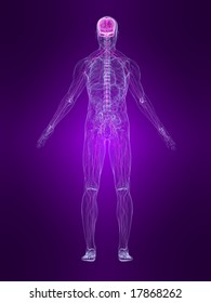 3,961 Nervous system transparent Images, Stock Photos & Vectors ...