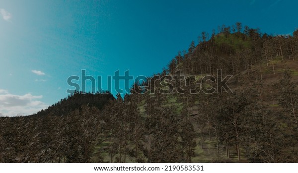 Hill Side View Trees Forest Scene Stock Illustration 2190583531 ...